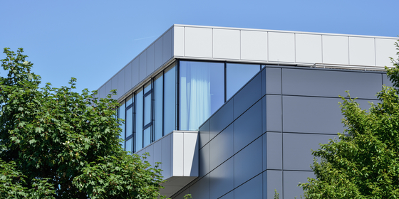 Adidas Rieste - Hammersen