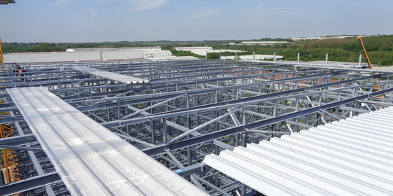 Adidas Rieste - Hammersen